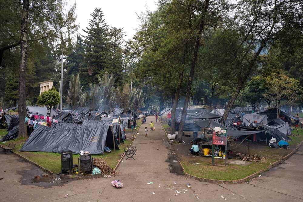 Leftist Groups Now Setting Up “Guerrilla Camps” | Liberty News Alerts